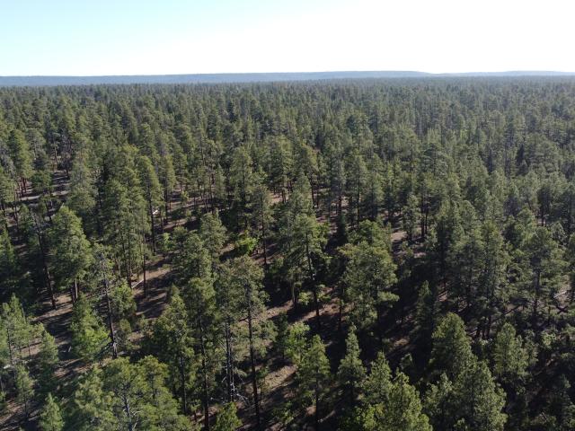 3212 APACHE Drive # 589