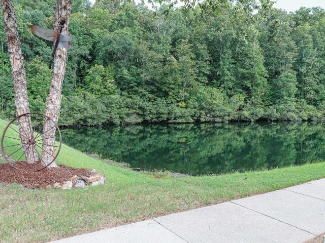 321 Chesser Plantation Lane