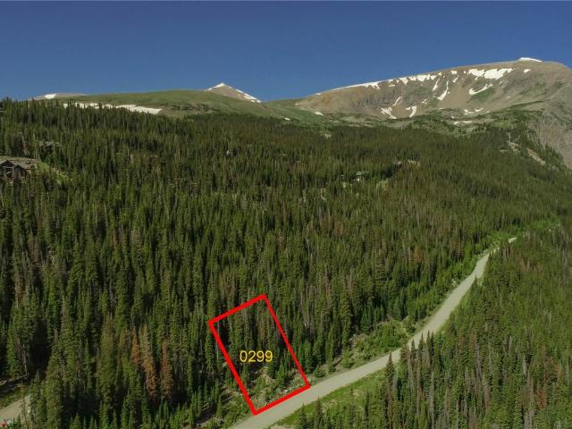 321 Cr 805 Breckenridge, CO 80424 | MLS #S1051