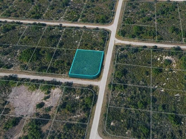 321 Bellanca St NW, Lake Placid, FL 33852