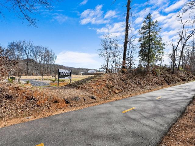321 Showalter Lane