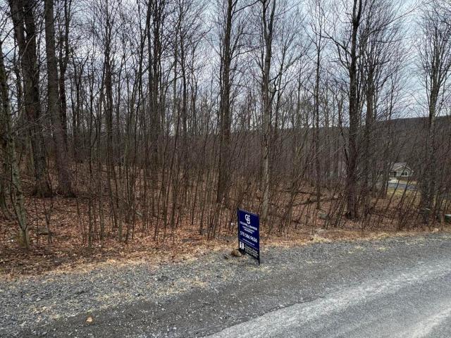 321 Summit Woods Rd, Moscow, PA 18444 | MLS #SC251121 | Compass