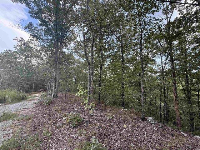 321 Plata Holw, Royal, AR 71965