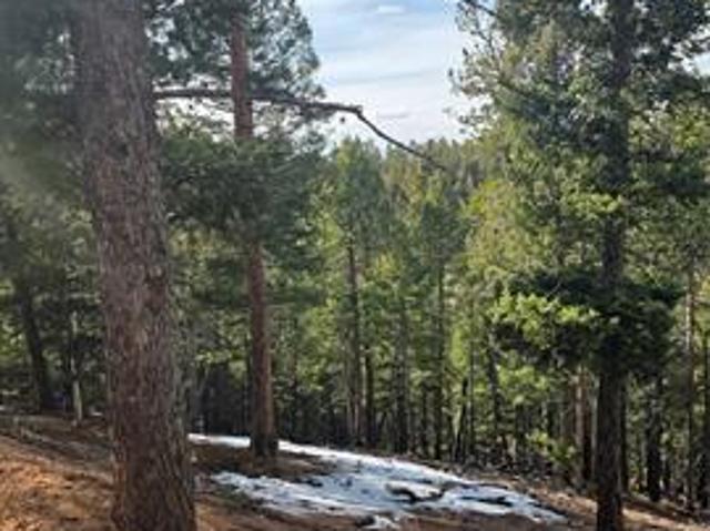 321 Tillicum Trail