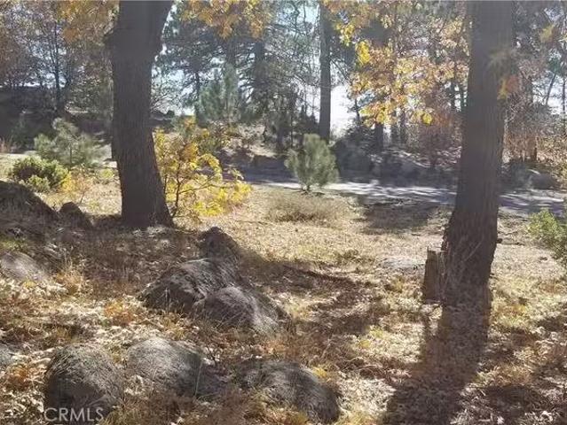 32240 Whisper Drive, Running Springs, CA 92382 655423706