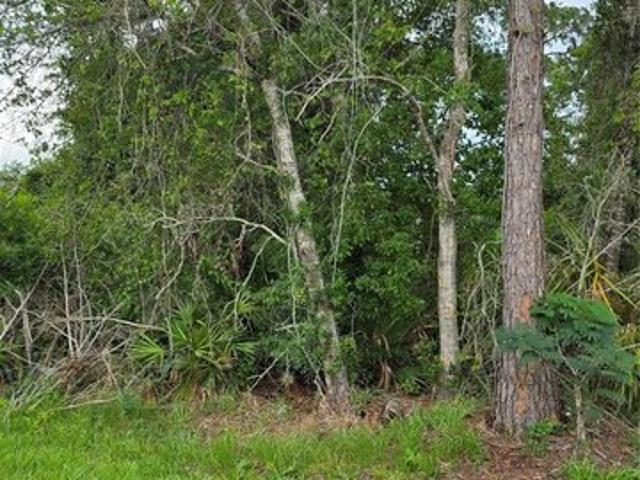 3227 Urmey Ave, Deltona, FL 32738