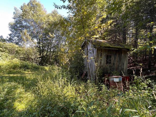 3228 Gods Wilderness Road
