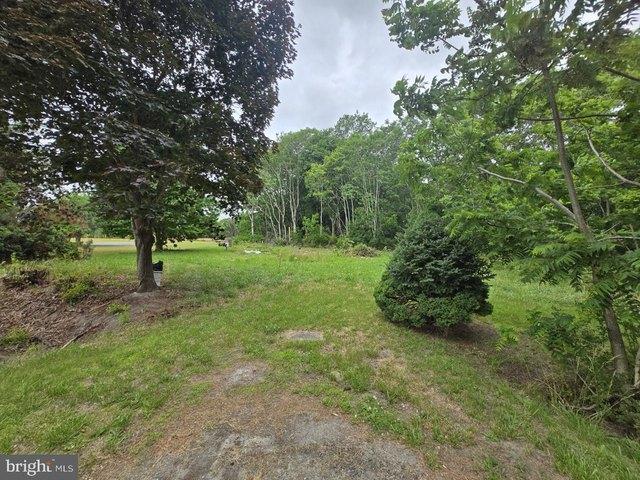 32298 Powell Farm Rd, Frankford, DE 19945
