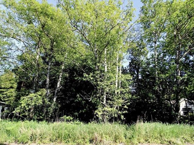32206 R Pl, Ocean Park, WA 98640