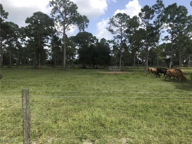 3220 Andalusia Blvd, Cape Coral, FL 33909