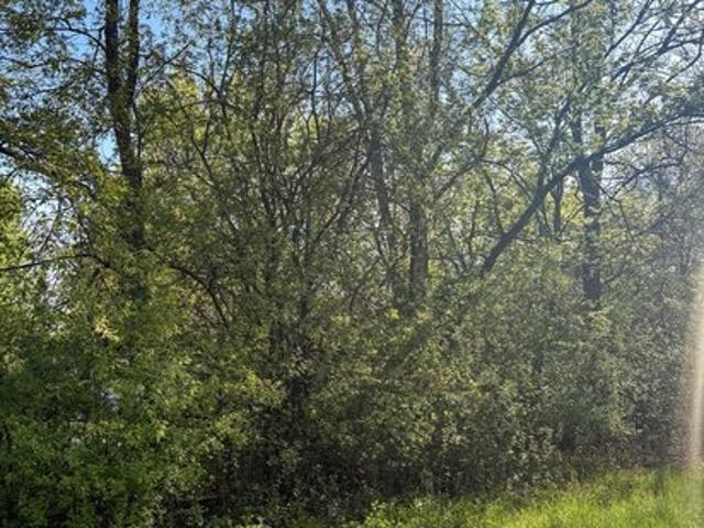 3221 and 3241 Glen Flora Ave, Waukegan, IL 60085