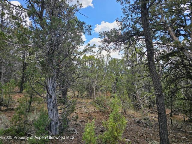 3221 Elk Springs Dr, Glenwood Springs, CO 81601 | MLS #188988
