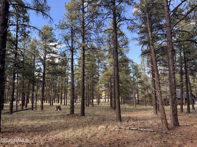 3222 W Grey Hawk Lot 257, Williams, AZ 86046