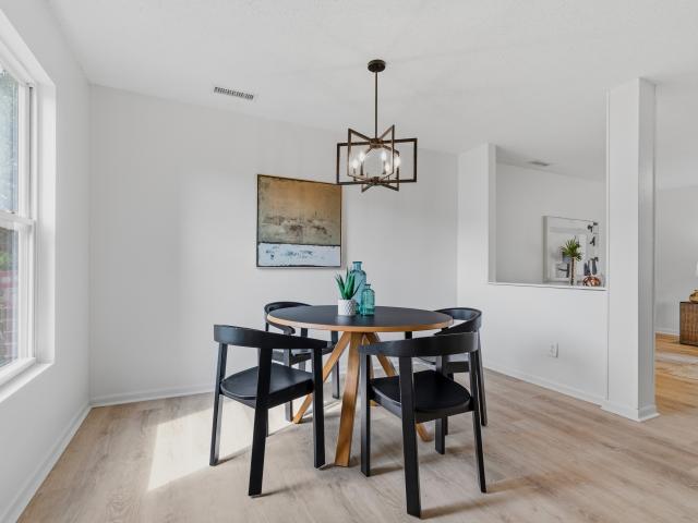 3223 Black Forest Lane