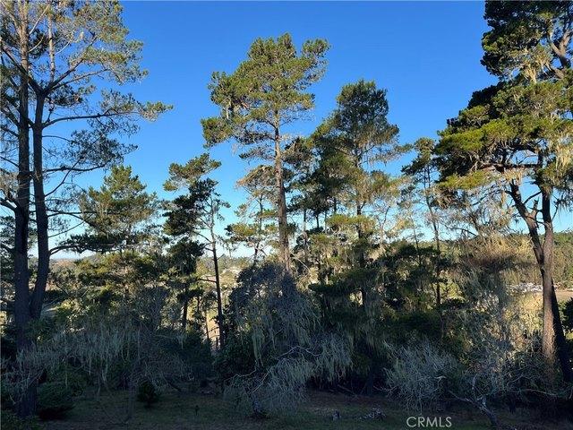 3235 Rogers Dr, Cambria, CA 93428