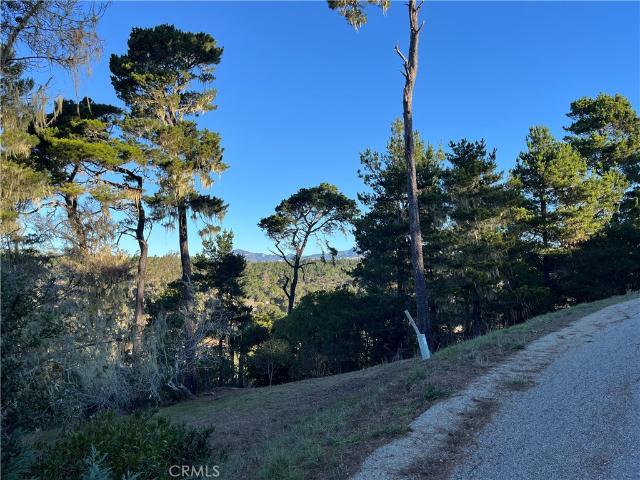 3235 Rogers Rd, Cambria, CA 93428 | MLS #SC25250
