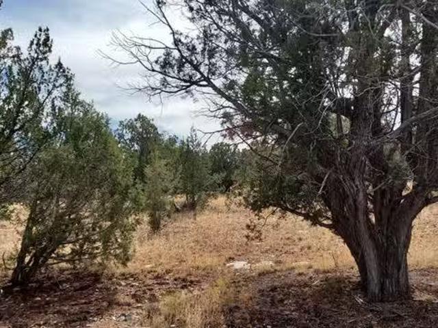 32369 W Avenida Bailar Lot # 2972, Seligman, AZ 86337 MLS 10.