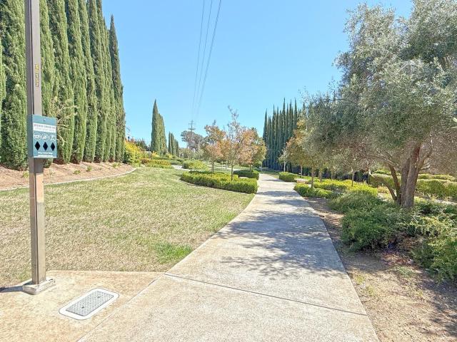 3236 Pomerado Drive
