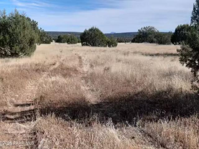 32381 W Montecito Ln, Seligman, AZ 86337 MLS 1078761