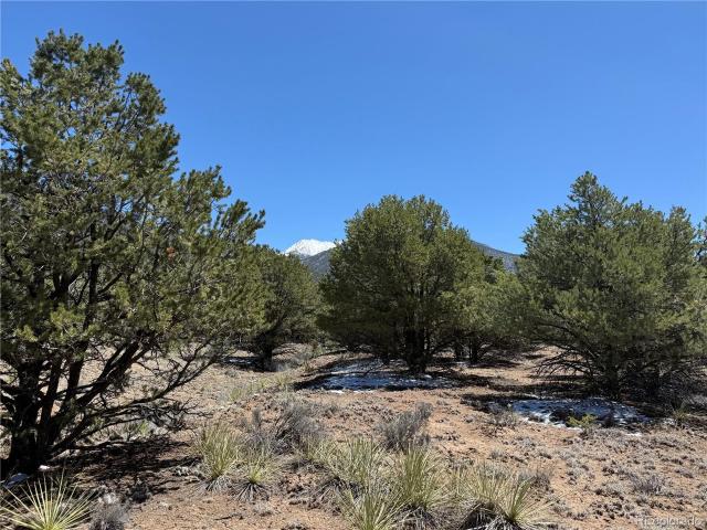 3231 Camino Del Rey