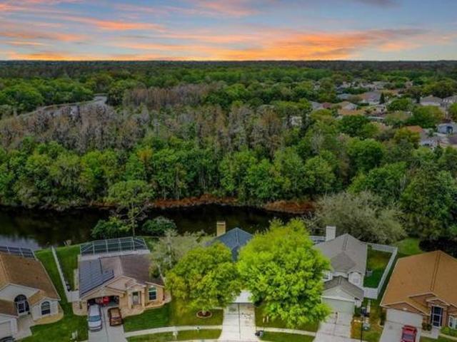3231 Castle Rock Cir, Land O Lakes, FL 34639