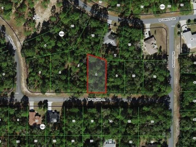 3231 W Talinum Pl, Citrus Springs, FL 34433