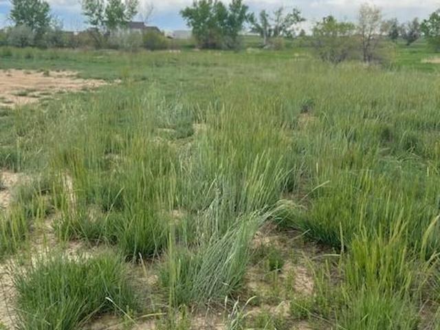 3233 County Road 19, Brighton, CO 80603 | MLS #6785 | Compass