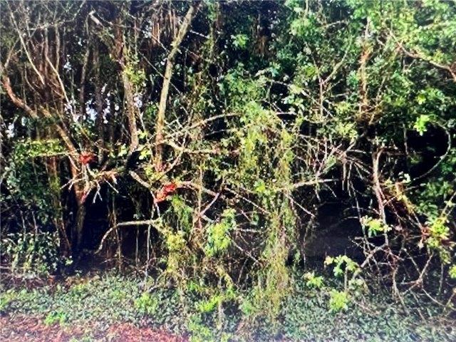 323 13th Pl SW, Vero Beach, FL 32962