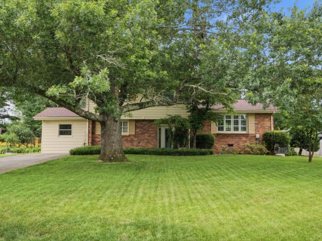 323 Colt Ln