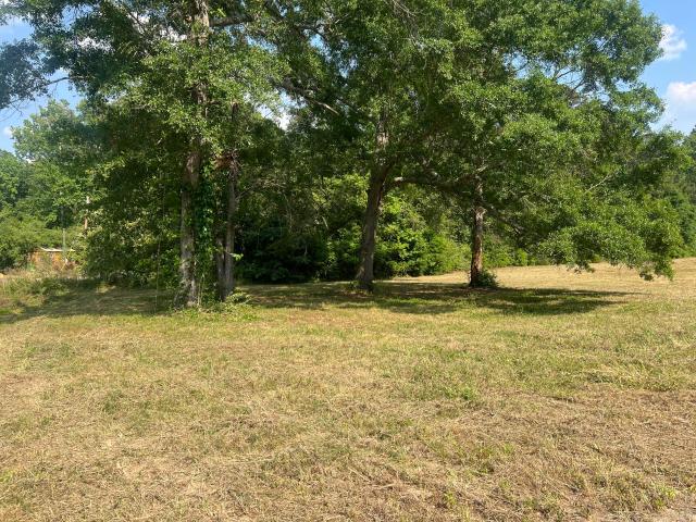323 Forrest Clary Drive
