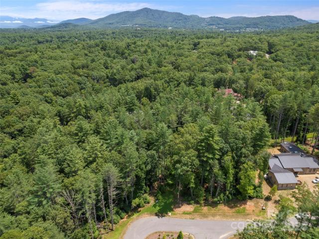 323 Flowering Vine Ct, Unit 617, Asheville, NC 28803 | MLS #4164