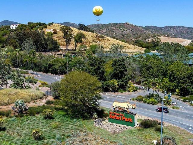 323 Jimson Gln, Escondido, CA 92025 | MLS #NDP2603