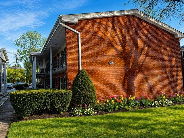 323 N Princeton Ave Apt 1, Villa Park, IL 60181