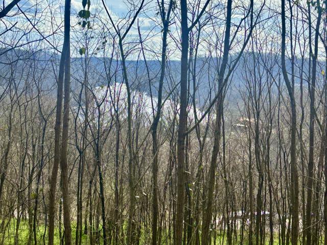 323 Seaton Dr