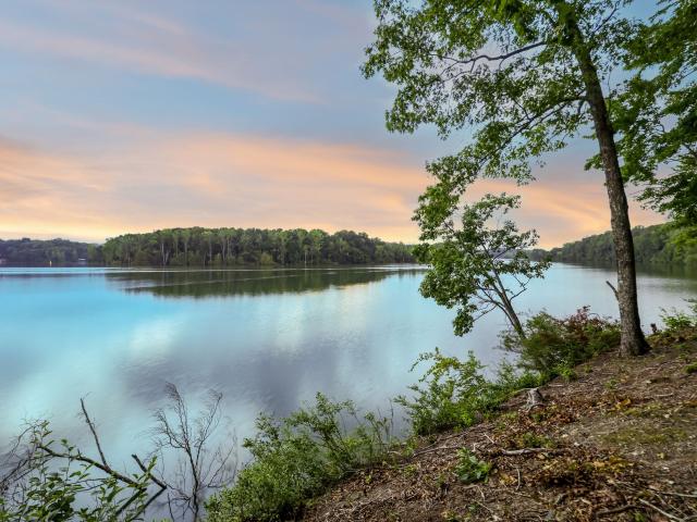 323 Sunset Cove Ln