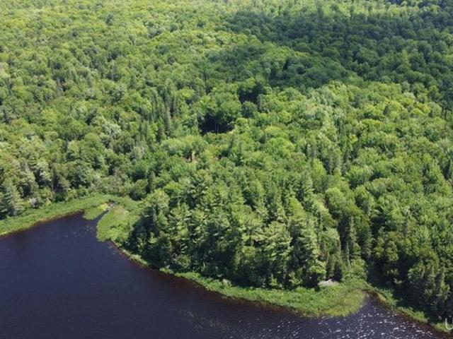 32464 Keweenaw Pass Rd, Lake Linden, MI 49945