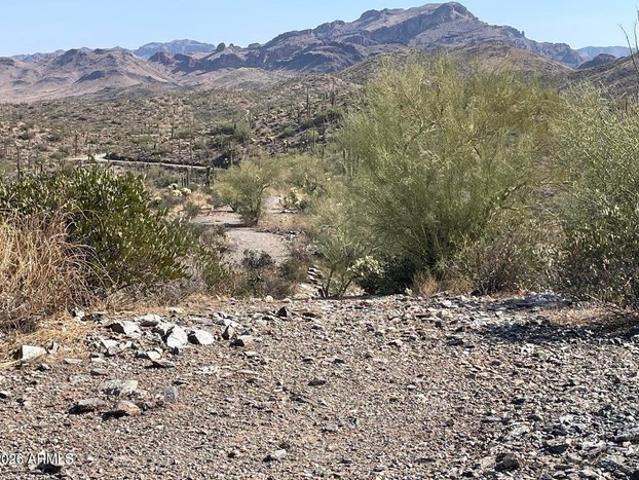 3246 N Silver Tip Trl, Queen Valley, AZ 85118