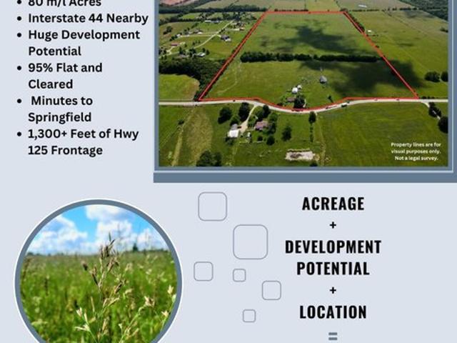 3246 N State Highway 125, Strafford, MO 65757