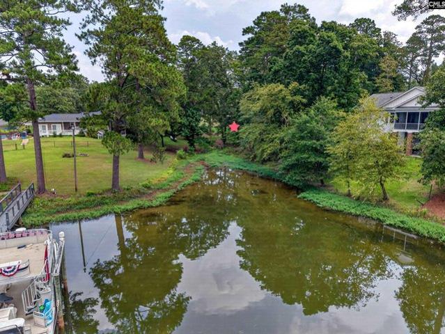 3249 Driftwood Point Rd, Gilbert, SC 29054