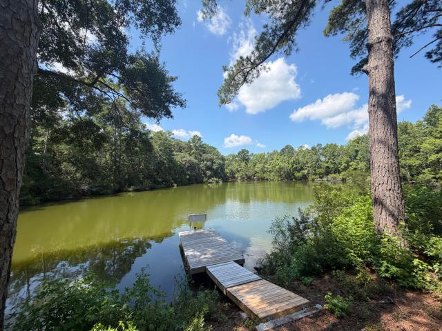 3242 Cape Road