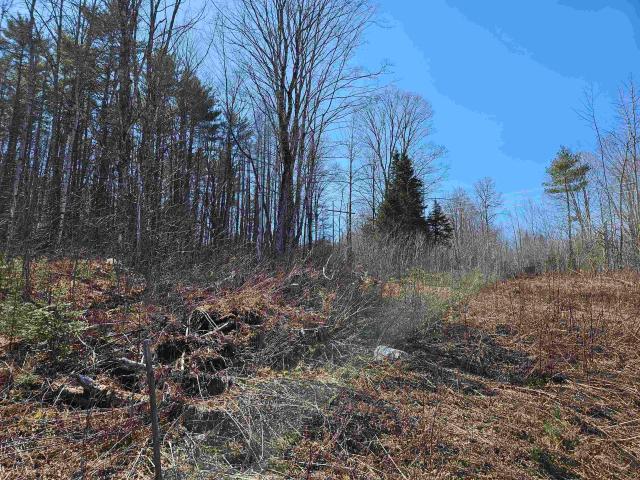 324 Crane Hill Rd, Sugar Hill, NH 03586 | MLS #5034