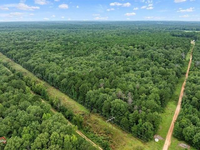 324 Ac Five Notch Rd, Marshall, TX 75670