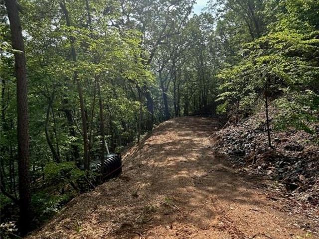 324 Adair Dr, Ranger, GA 30734 | MLS #7804