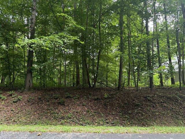 324 Dudala Pt, Loudon, TN 37774