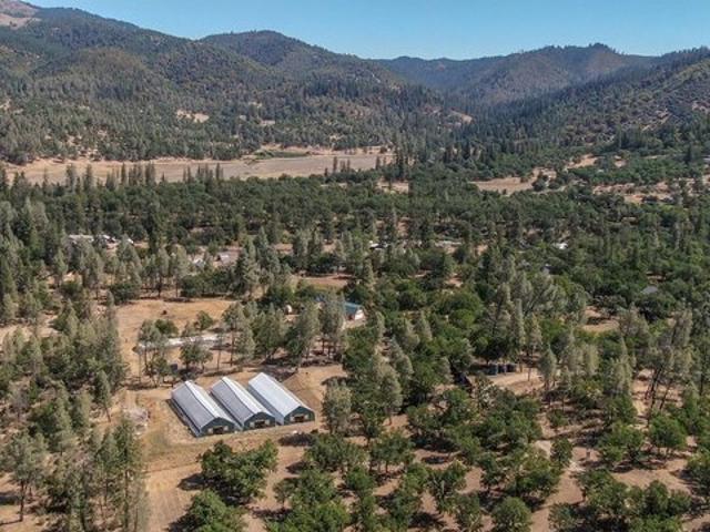 324 Frog Pond Ln, Hayfork, CA 96041