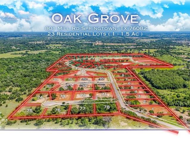 324 Jonny Boy Way, Springtown, TX 76082