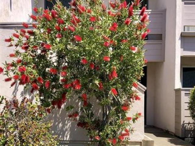 3254 Ashford St Unit H, San Diego, CA 92111