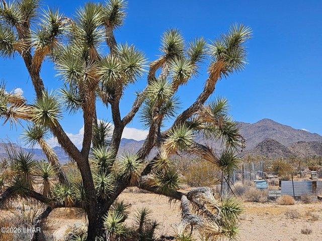 3255 S Arapaho Dr, Yucca, AZ 86438