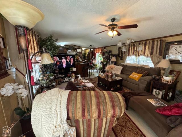 3256 County Road 318