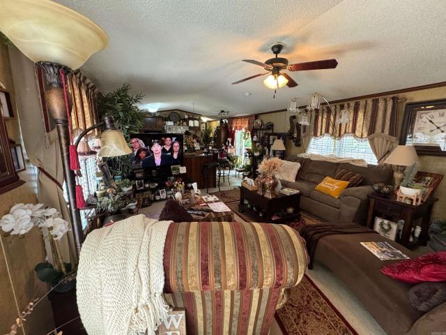 3256 County Road 318 Road
